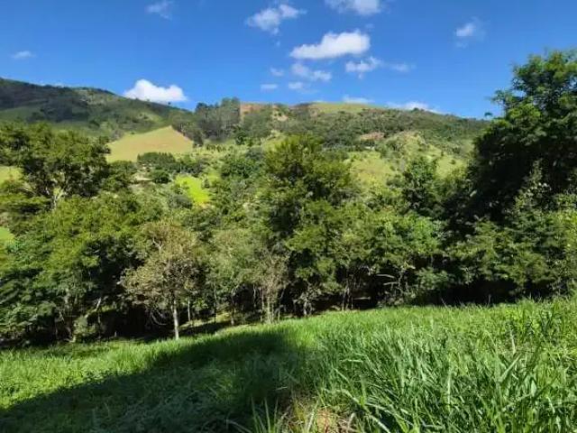 Terreno / Lote para Venda em Petrópolis/RJ Pedro do Rio