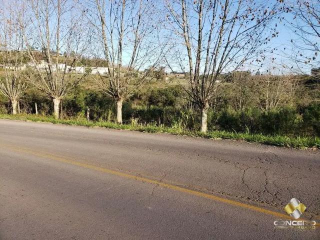 Terreno / Lote para Venda em Pinto Bandeira/RS Zona Rural
