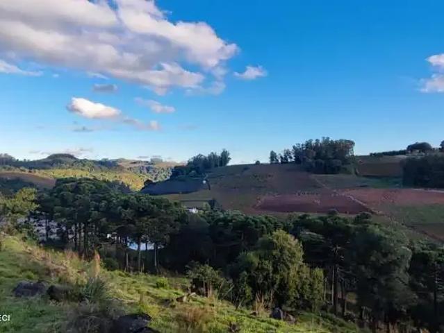 Terreno / Lote para Venda em Pinto Bandeira/RS Zona Rural