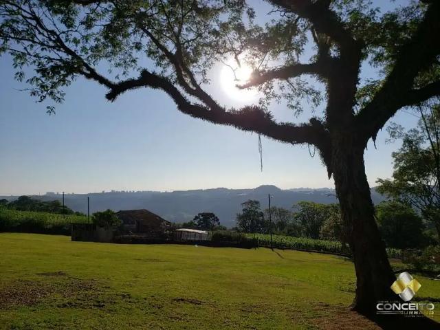 Terreno / Lote para Venda em Pinto Bandeira/RS Zona Rural