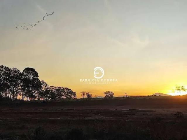 Terreno / Lote para Venda em Pindamonhangaba/SP Triângulo
