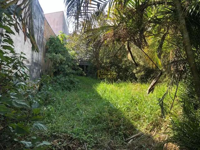 Terreno / Lote para Venda em Pindamonhangaba/SP Vila Nair