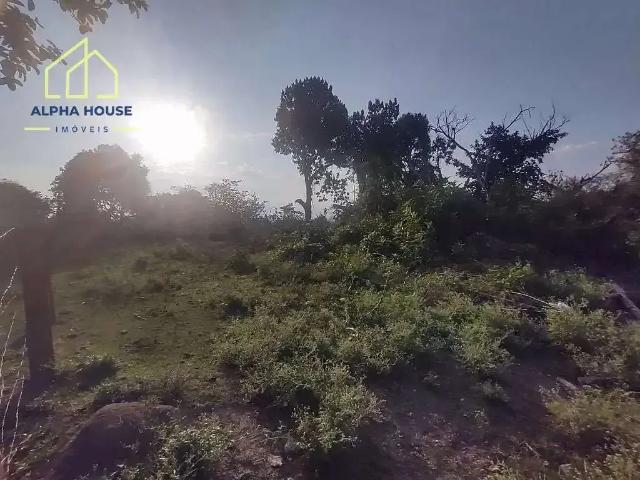 Terreno / Lote para Venda em Pindamonhangaba/SP Vila São Benedito