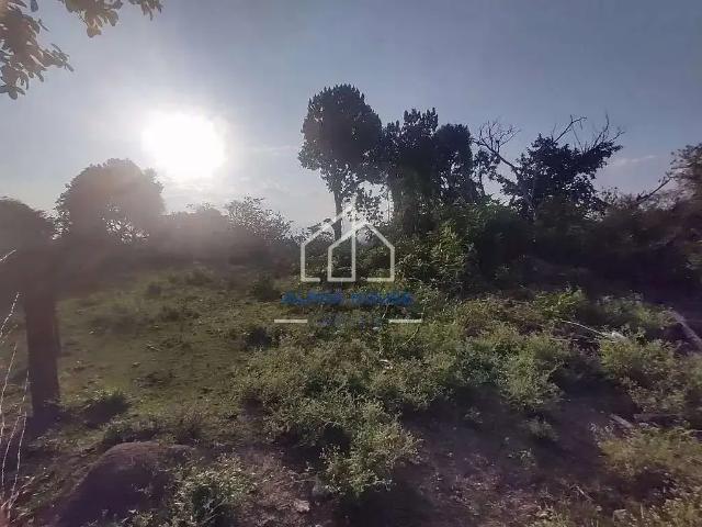 Terreno / Lote para Venda em Pindamonhangaba/SP Vila São Benedito