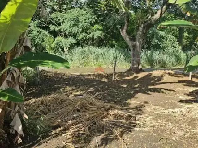 Terreno / Lote para Venda em Pindamonhangaba/SP Vitória Vale II