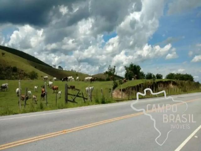 Terreno / Lote para Venda em Pindamonhangaba/SP Área Rural de Pindamonhangaba