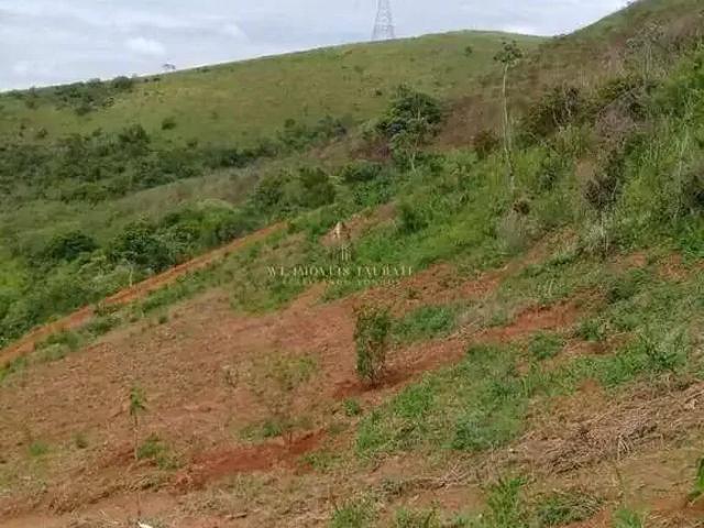 Terreno / Lote para Venda em Pindamonhangaba/SP Bom Sucesso