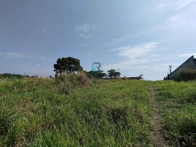 Terreno / Lote para Venda em Pindamonhangaba/SP Centro