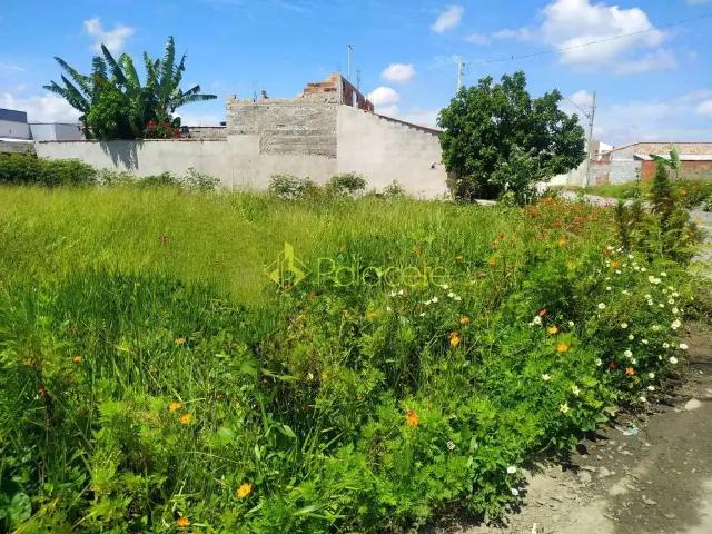 Terreno / Lote para Venda em Pindamonhangaba/SP César Park