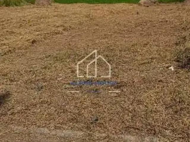 Terreno / Lote para Venda em Pindamonhangaba/SP César Park