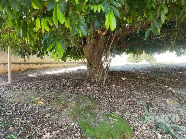 Terreno / Lote para Venda em Pindamonhangaba/SP Chácara Galega