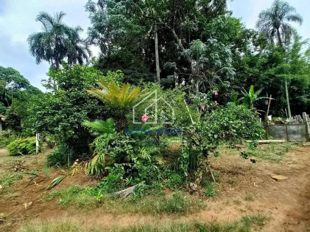 Terreno / Lote para Venda em Pindamonhangaba/SP Jardim Cristina