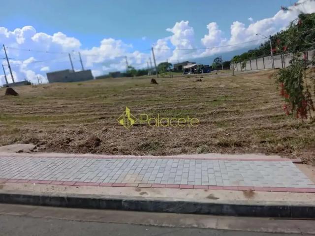 Terreno / Lote para Venda em Pindamonhangaba/SP Loteamento Industrial Água Preta