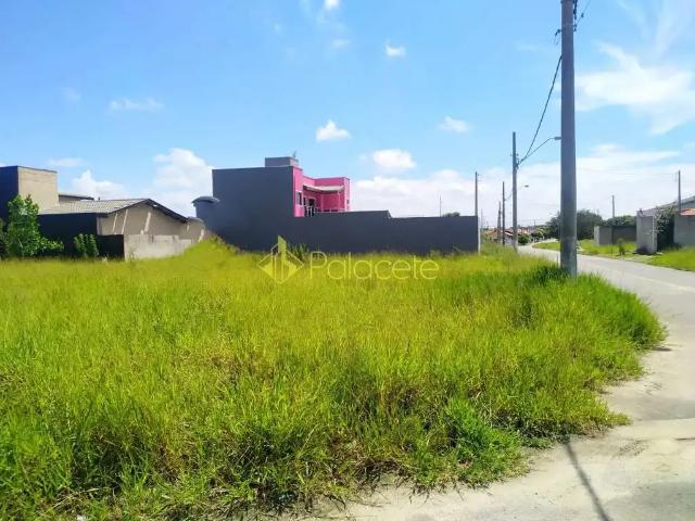 Terreno / Lote para Venda em Pindamonhangaba/SP Loteamento Residencial e Comercial Araguaia