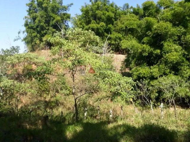 Terreno / Lote para Venda em Pindamonhangaba/SP Mandú