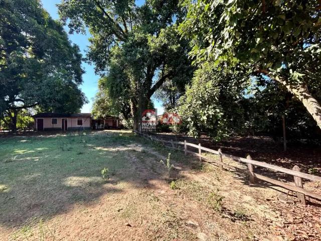 Terreno / Lote para Venda em Pindamonhangaba/SP Maria Áurea