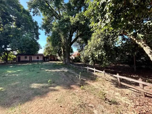 Terreno / Lote para Venda em Pindamonhangaba/SP Maria Áurea