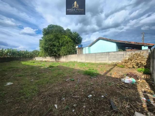 Terreno / Lote para Venda em Pindamonhangaba/SP Moreira César
