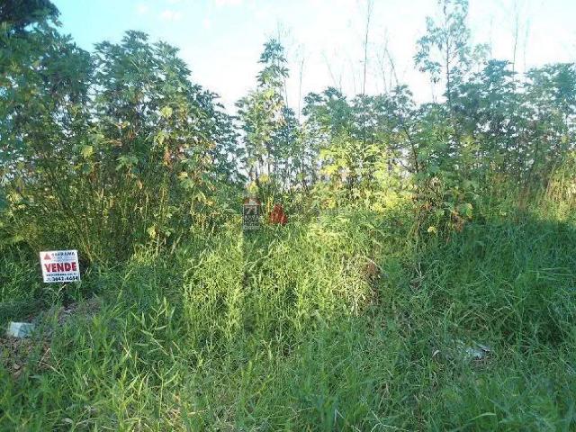 Terreno / Lote para Venda em Pindamonhangaba/SP Parque Lago Azul
