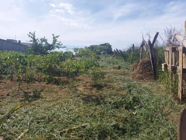 Terreno / Lote para Venda em Pindamonhangaba/SP Parque Shangri lá