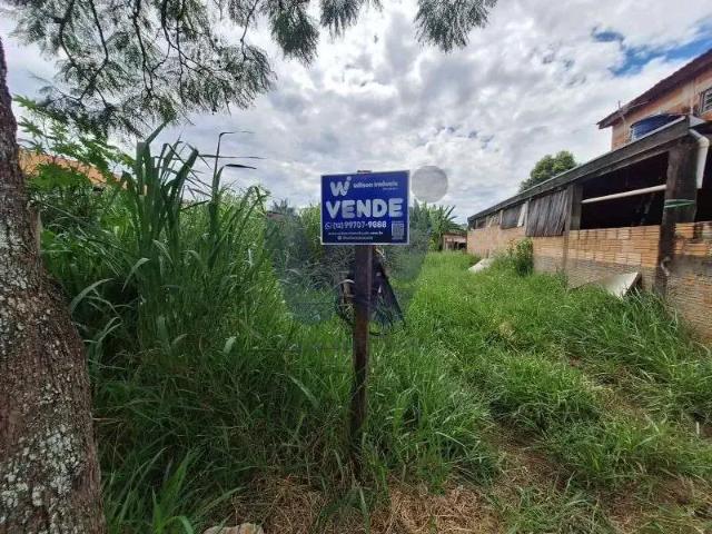 Terreno / Lote para Venda em Pindamonhangaba/SP Parque Shangri lá