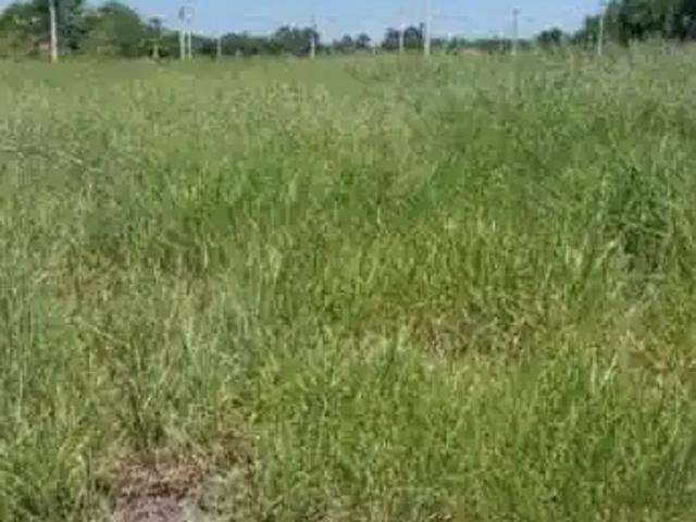 Terreno / Lote para Venda em Pindamonhangaba/SP Residencial e Comercial Cidade Morumbi