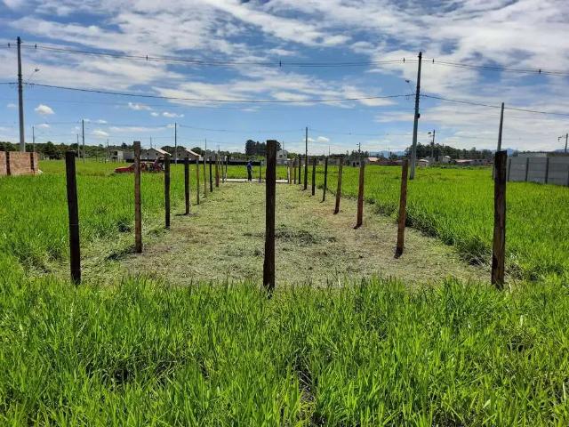 Terreno / Lote para Venda em Pindamonhangaba/SP Residencial e Comercial Portal dos Eucaliptos