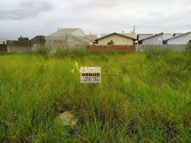Terreno / Lote para Venda em Pindamonhangaba/SP Residencial e Comercial Portal dos Eucaliptos