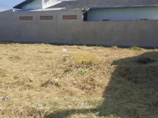 Terreno / Lote para Venda em Pindamonhangaba/SP Residencial Mantiqueira