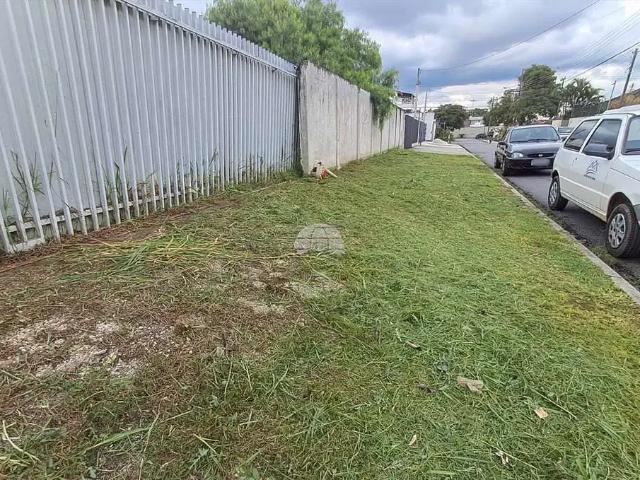 Terreno / Lote para Venda em Pinhais/PR Centro