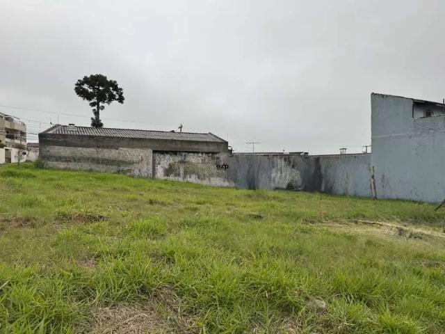 Terreno / Lote para Venda em Pinhais/PR Alto Tarumã
