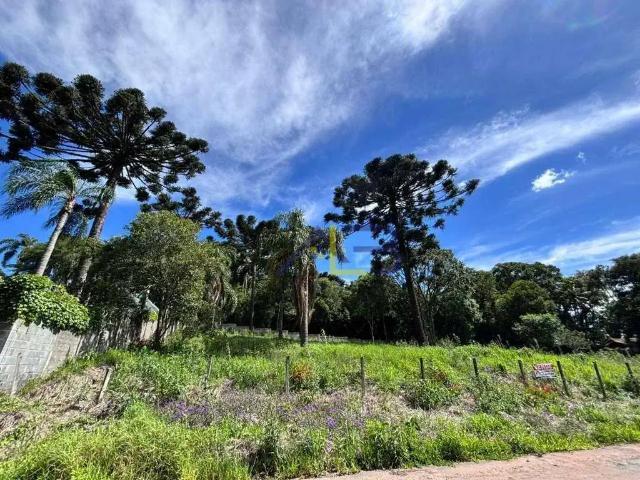 Terreno / Lote para Venda em Pinhais/PR Alphaville Graciosa