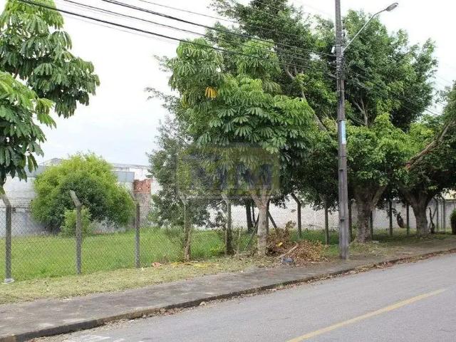 Terreno / Lote para Venda em Pinhais/PR Emiliano Perneta