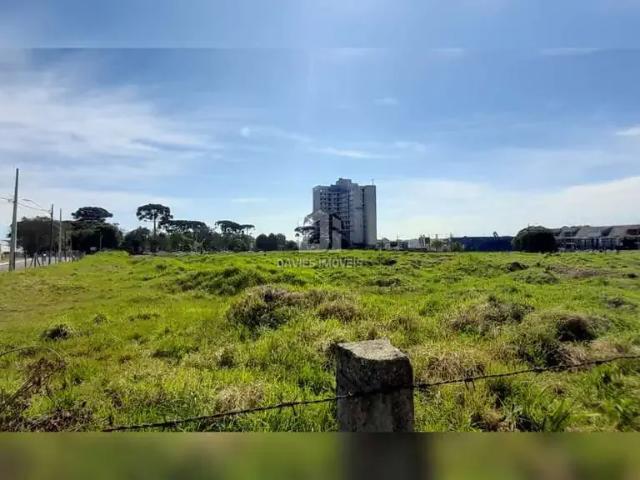 Terreno / Lote para Venda em Pinhais/PR Estância Pinhais