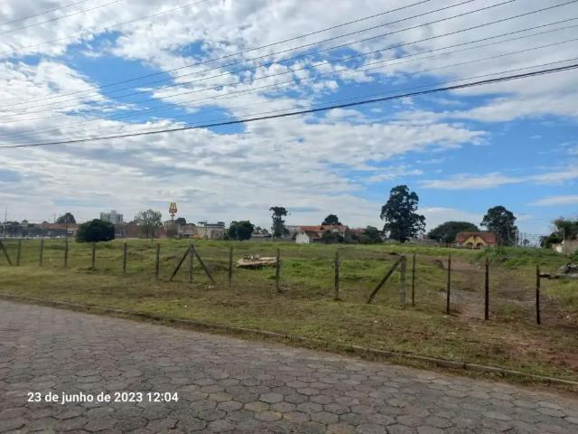 Terreno / Lote para Venda em Pinhais/PR Estância Pinhais