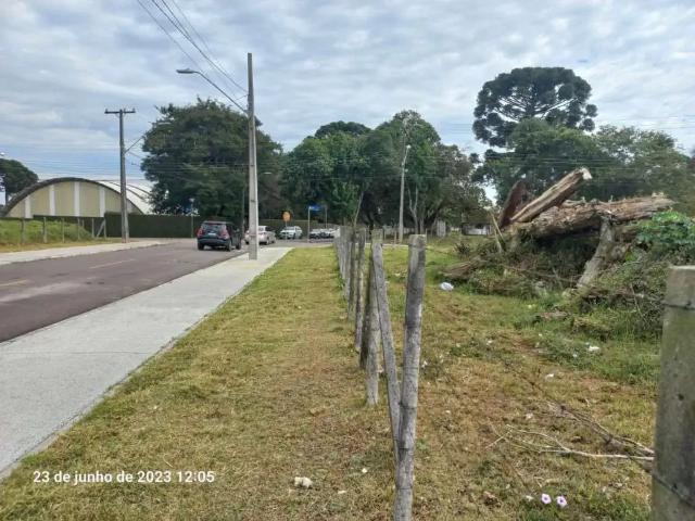Terreno / Lote para Venda em Pinhais/PR Estância Pinhais