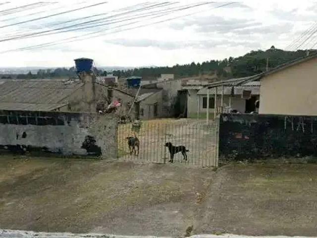 Terreno / Lote para Venda em Pinhais/PR Jardim Amélia