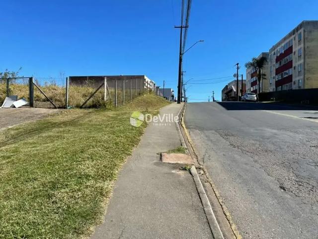 Terreno / Lote para Venda em Pinhais/PR Jardim Amélia