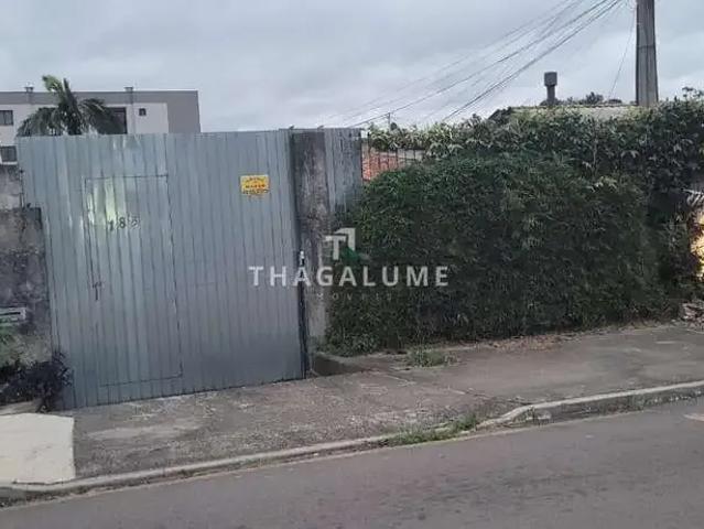 Terreno / Lote para Venda em Pinhais/PR Jardim Amélia