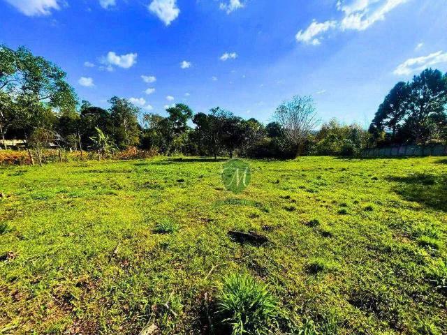 Terreno / Lote para Venda em Pinhais/PR Jardim Boa Vista