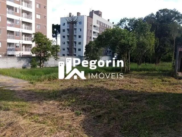 Terreno / Lote para Venda em Pinhais/PR Jardim Cláudia