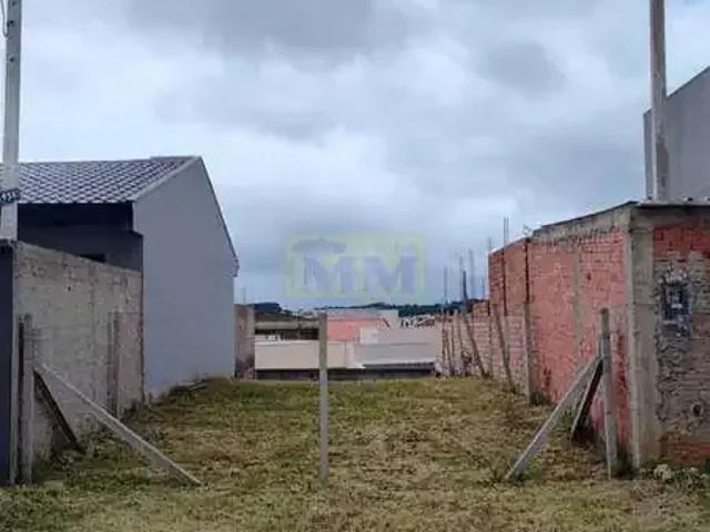 Terreno / Lote para Venda em Pinhais/PR Jardim Cláudia