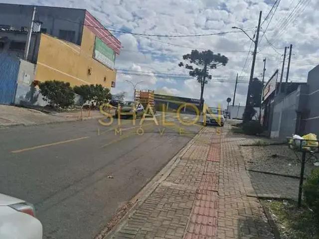 Terreno / Lote para Venda em Pinhais/PR Jardim Cláudia