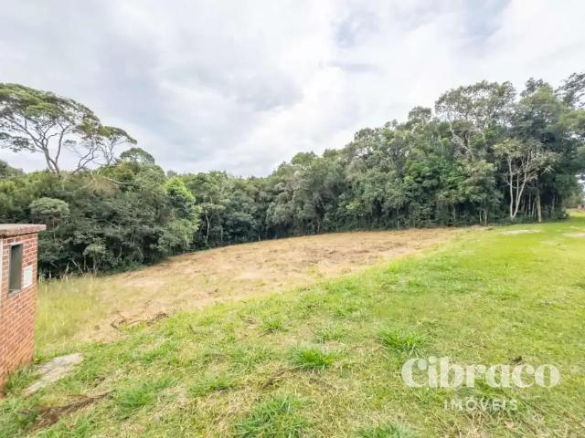 Terreno / Lote para Venda em Pinhais/PR Jardim Pio XII
