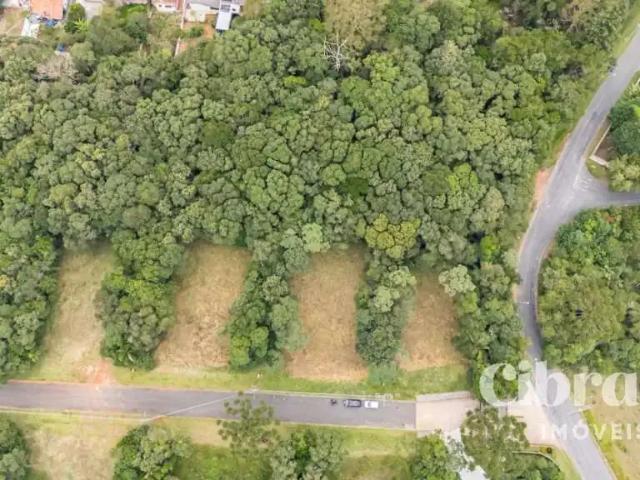 Terreno / Lote para Venda em Pinhais/PR Jardim Pio XII