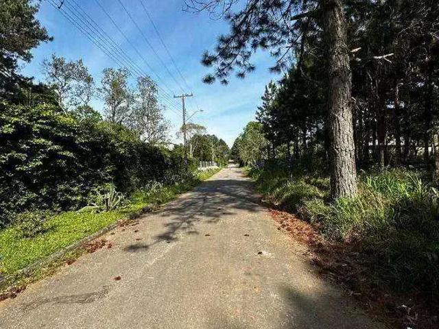 Terreno / Lote para Venda em Pinhais/PR Parque das Nascentes