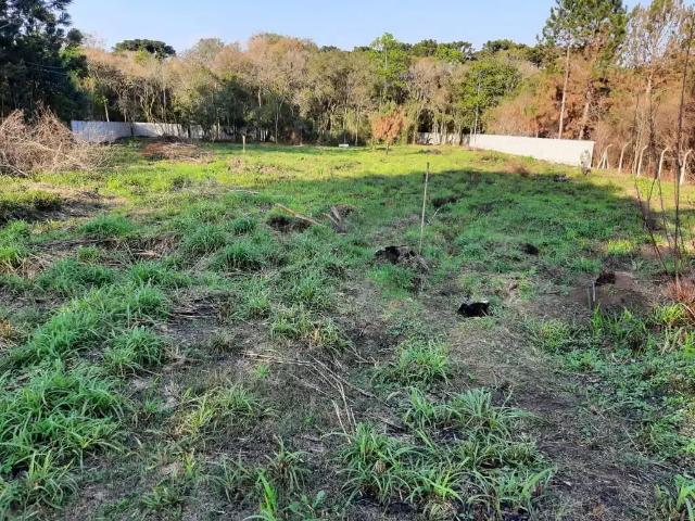 Terreno / Lote para Venda em Pinhais/PR Parque das Nascentes