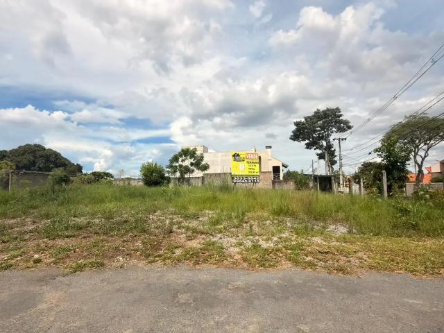Terreno / Lote para Venda em Pinhais/PR Pineville