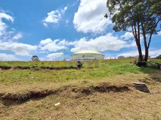Terreno / Lote para Venda em Pinhais/PR Pineville