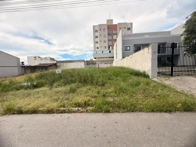 Terreno / Lote para Venda em Pinhais/PR Pineville